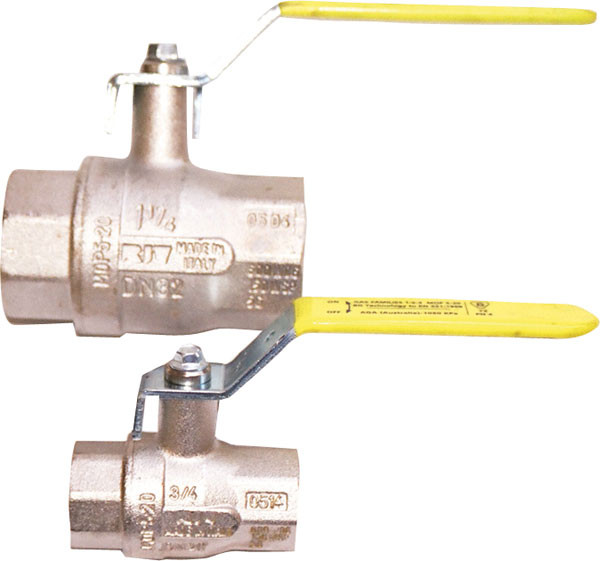 VALVES & TAPS | Buy Online | Construction Plant Spares
